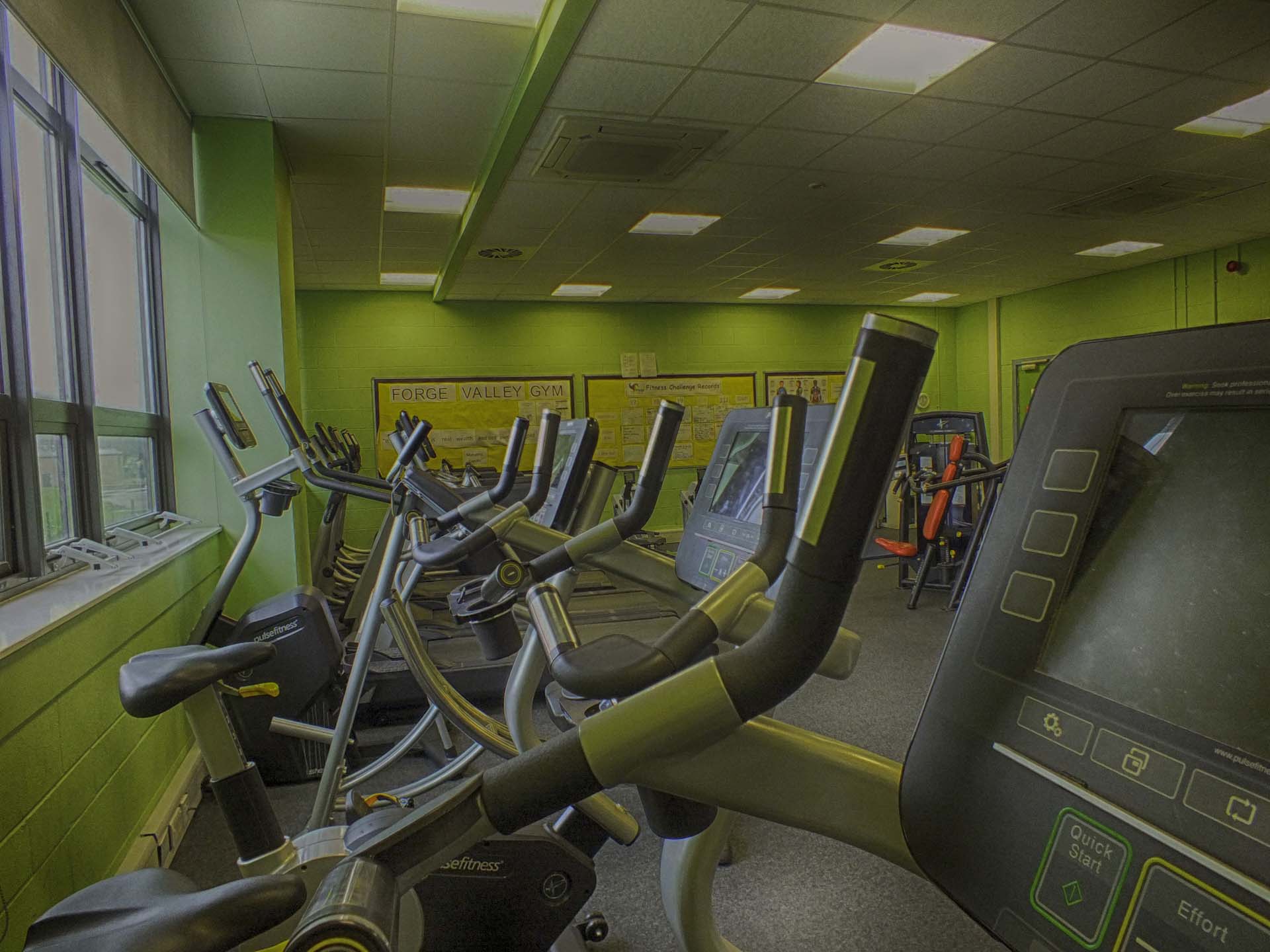 Forge Valley Sports Centre